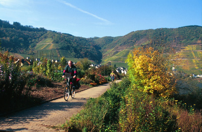 Radtouren: Mosel-Radweg: Kurvenreiche Naturschönheit und kulturelles Flair
