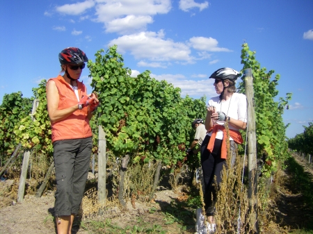 Radtouren: Mehr als neuer Wein und Zwiebelkuchen - Herbstzeit an der ...
